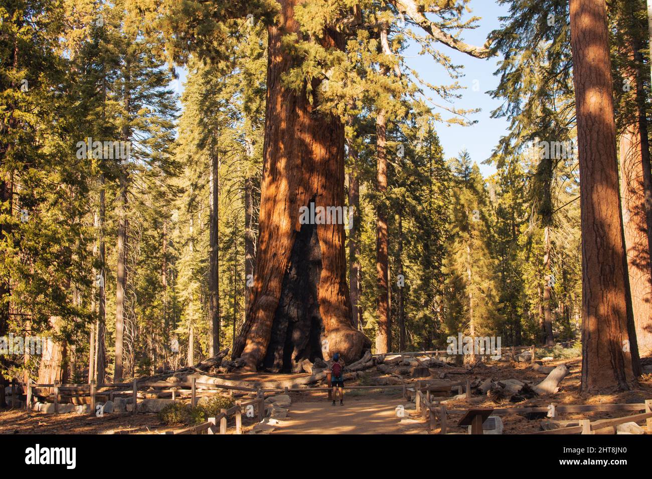 Autumnal natural landscape from Yosemite National Park, California ...