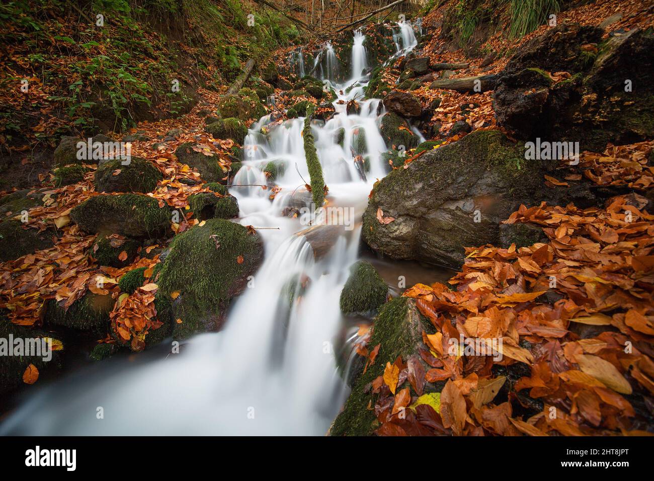 Blurred waterfall water on stones covered with moss and fall leaves ...