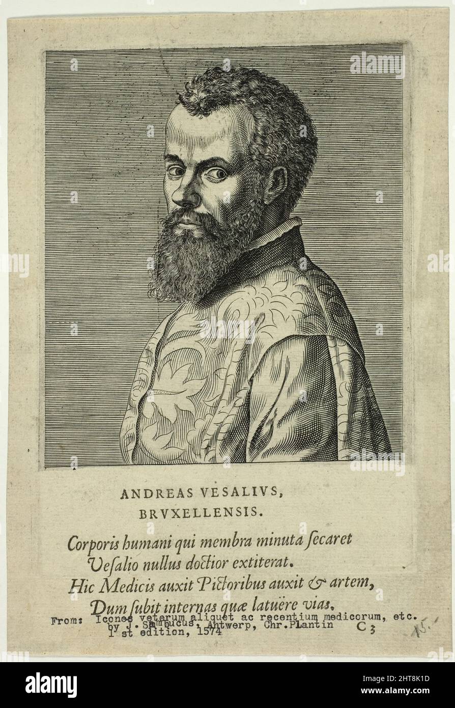 Portrait of Doctor Andreas Vesalius of Brussels, published 1574 Stock ...