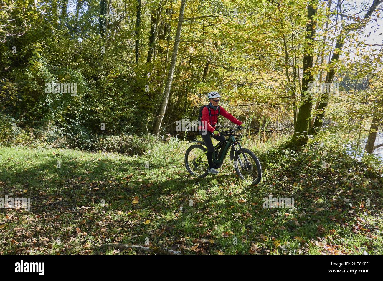 Male riding a bike in the forest on a sunny day Stock Photo - Alamy