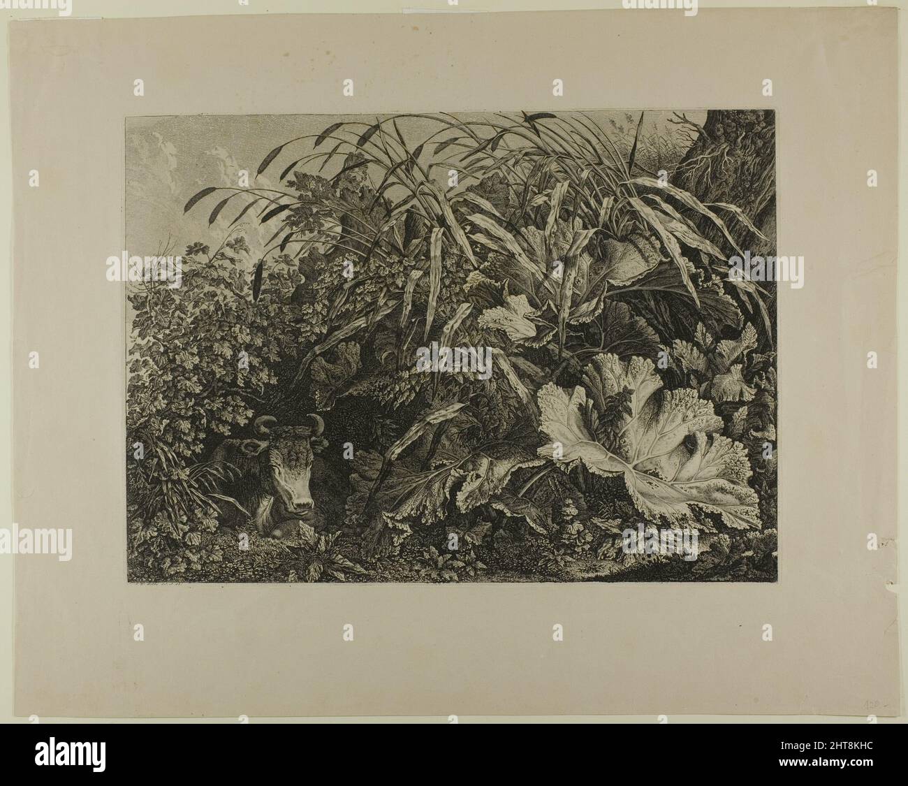 Chicago swamp hi-res stock photography and images - Alamy