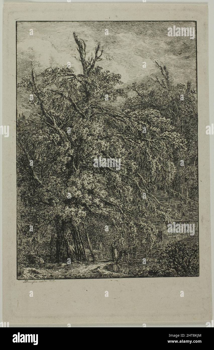 Great Tree, 1809 Stock Photo - Alamy