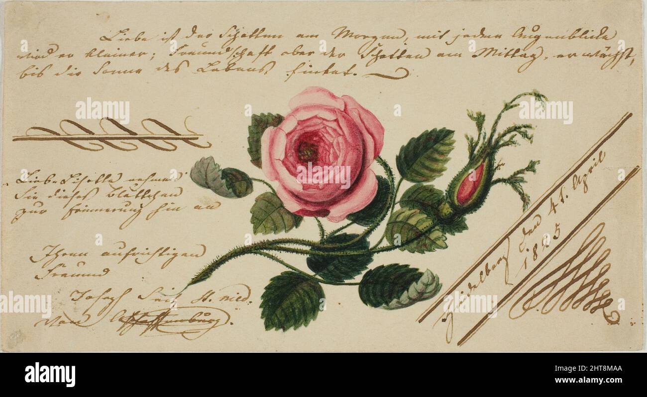 Flower drawings historical hi-res stock photography and images - Alamy