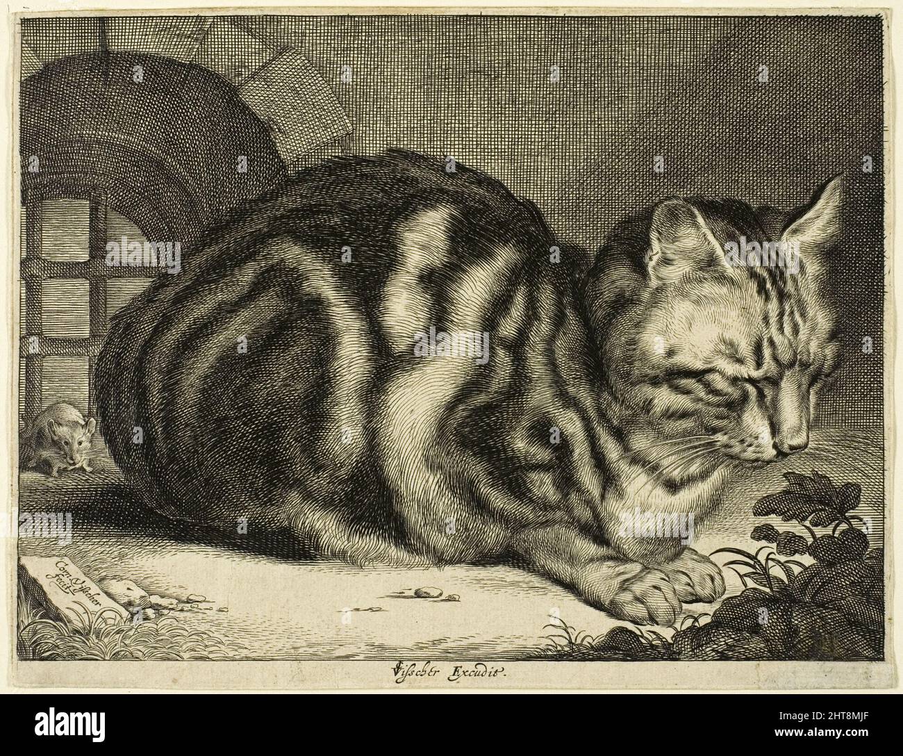 The Large Cat, 1657 Stock Photo - Alamy