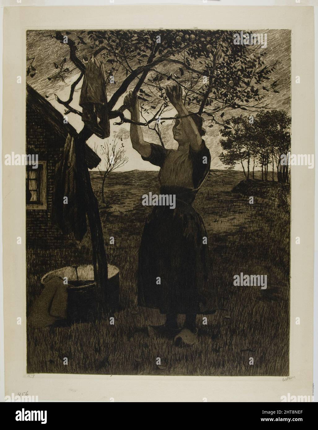 The Apple Tree, c. 1885 Stock Photo - Alamy