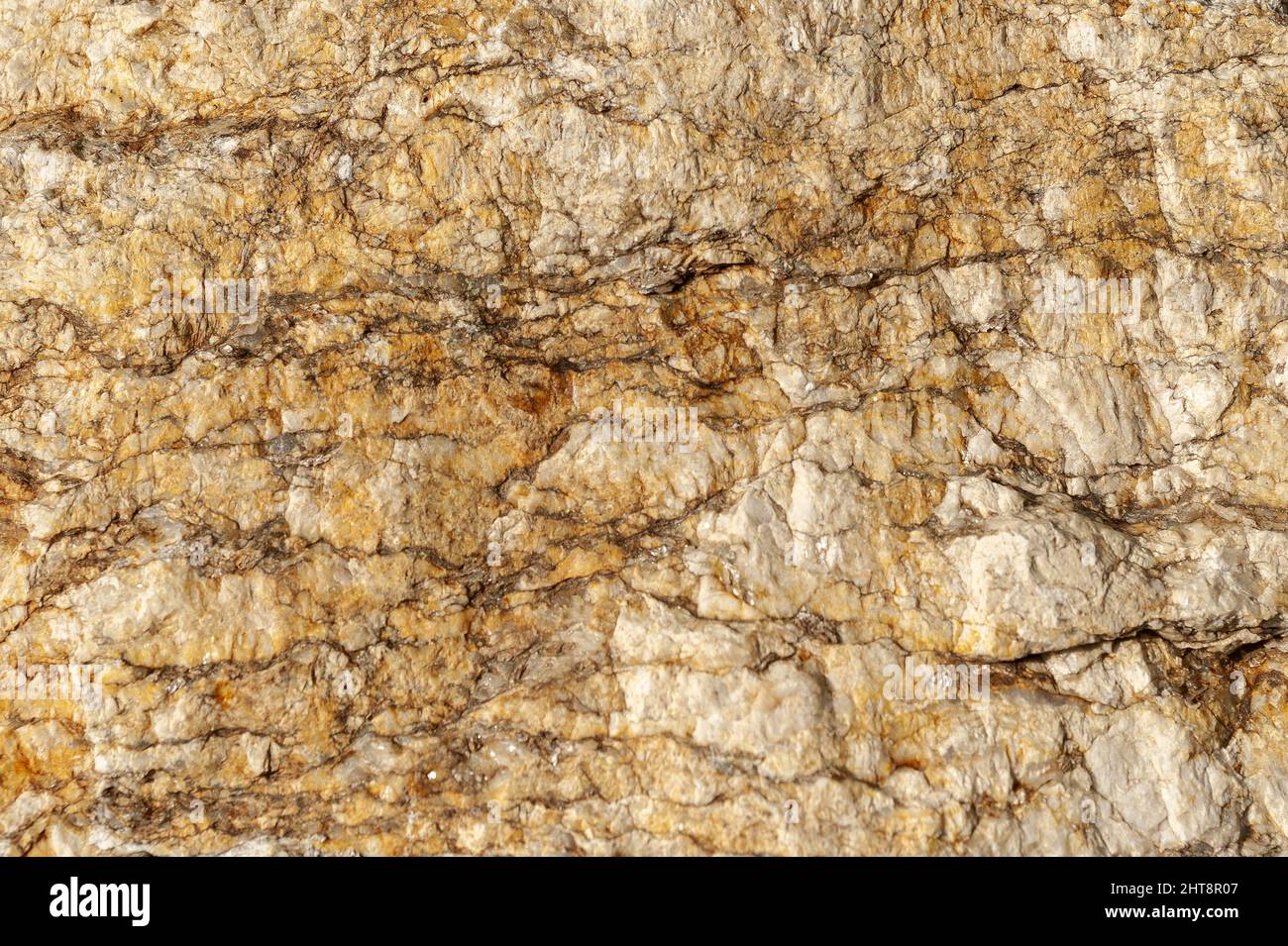 Closeup of rocky texture- perfect for background Stock Photo - Alamy