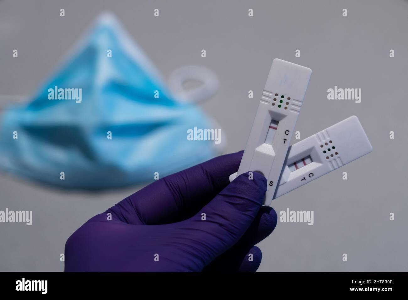Hand with surgical gloves holding positive and negative covid19 antigen ...