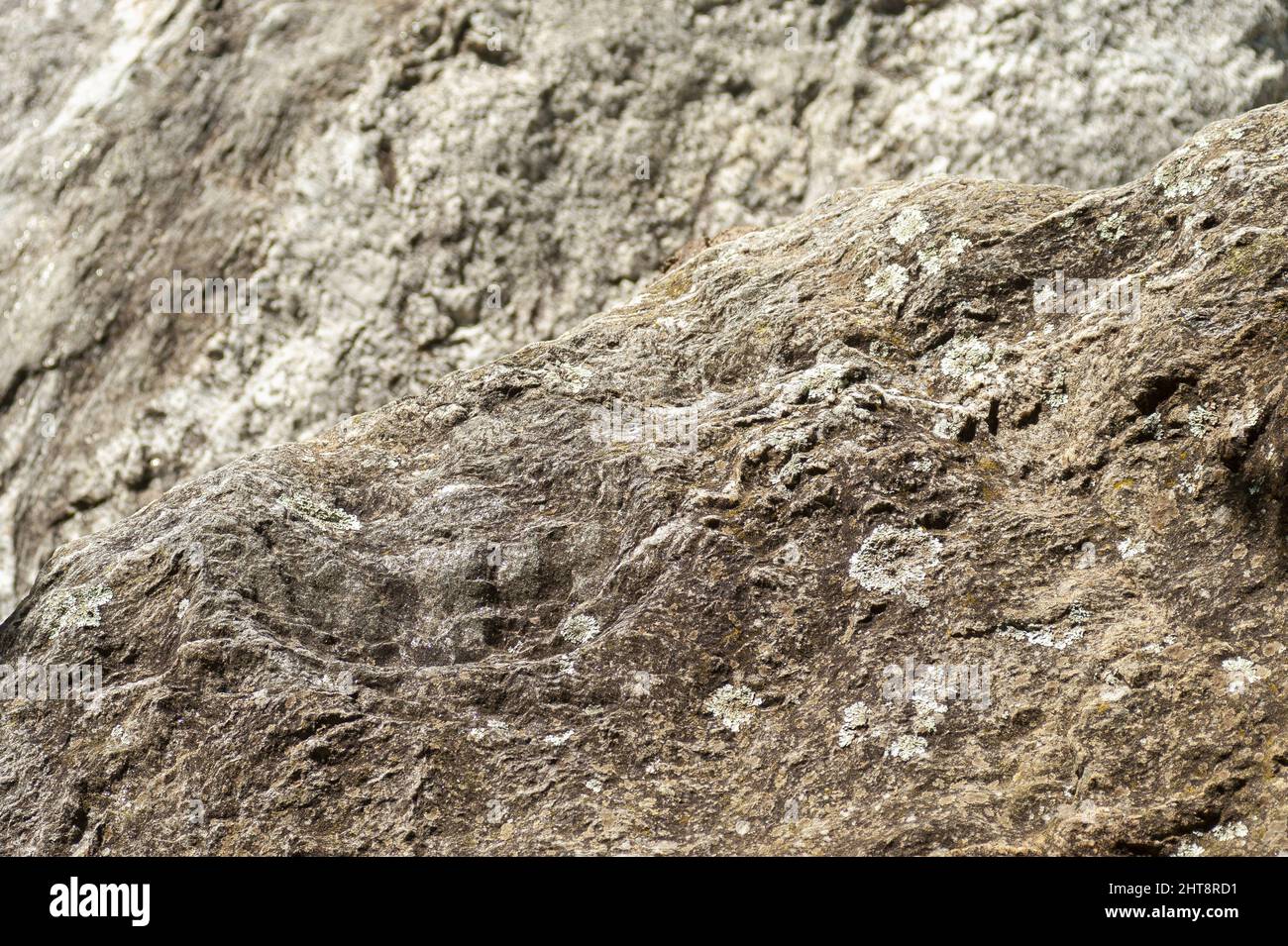 Closeup of rocky surface - perfect for background Stock Photo - Alamy
