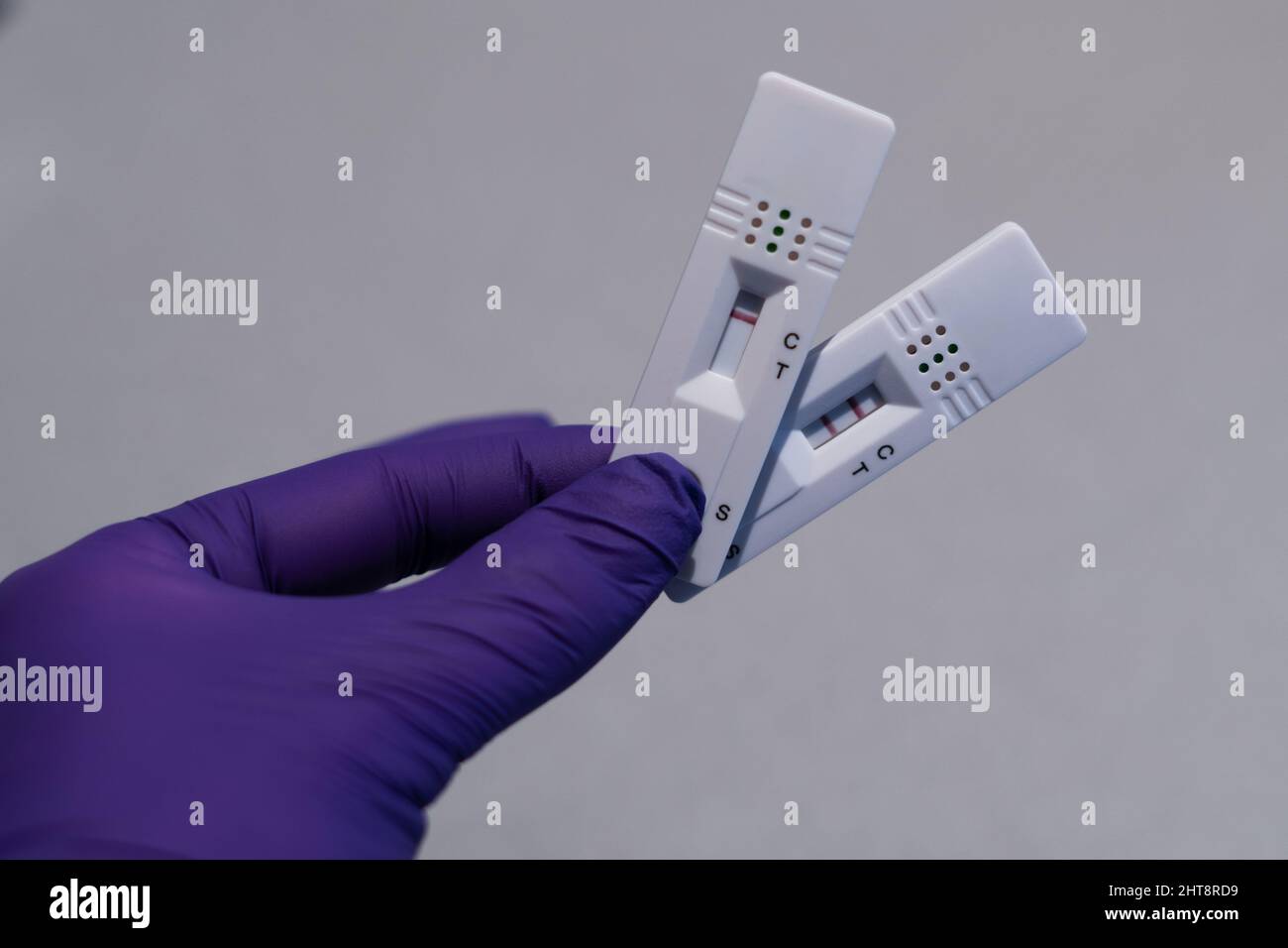 Hand with surgical gloves holding positive and negative covid19 antigen ...