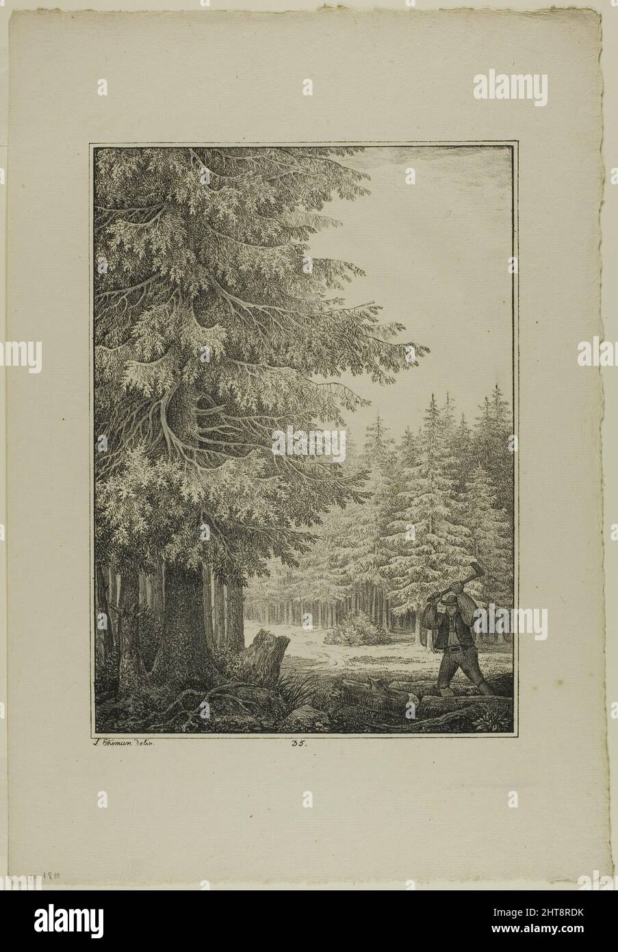 Baum male hi-res stock photography and images - Alamy