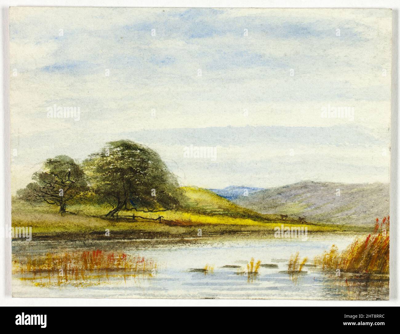 Marshy Landscape, 1800-1899 Stock Photo - Alamy