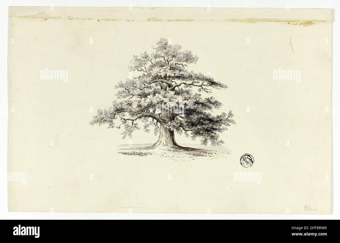 Ink wash tree drawing hi-res stock photography and images - Alamy