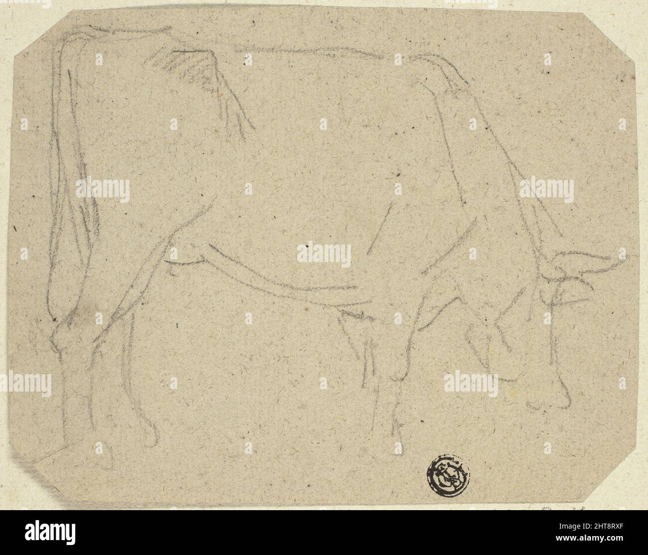 Animals hindquarters hi-res stock photography and images - Alamy
