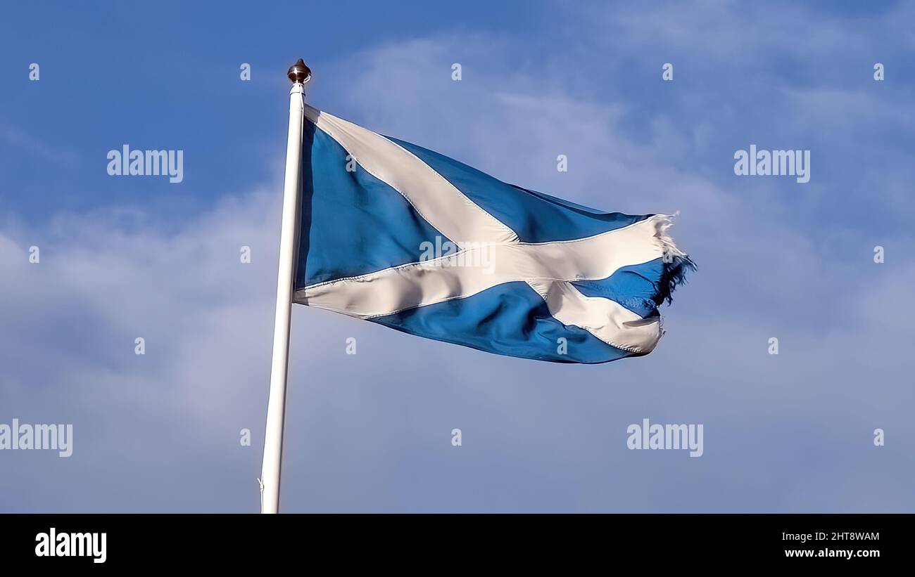 Scottish flag image hi-res stock photography and images - Alamy