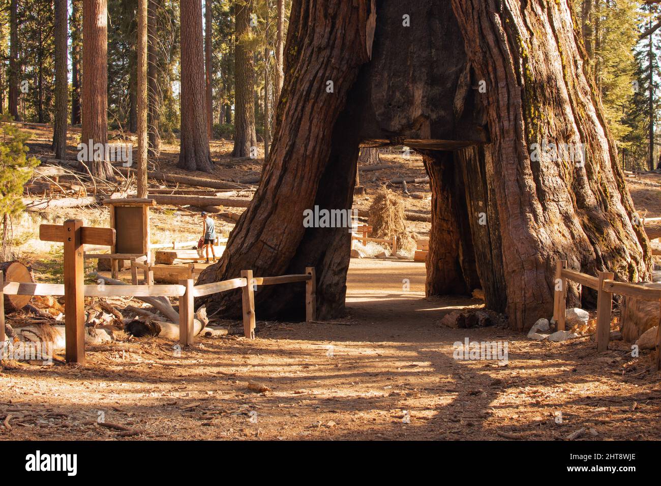Autumnal natural landscape from Yosemite National Park, California ...