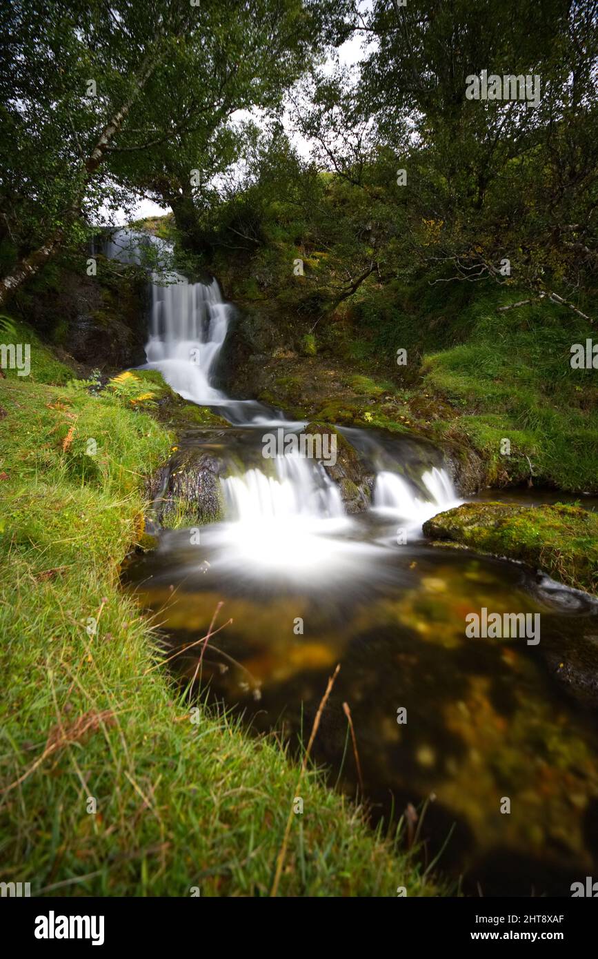Vertical view of the beautiful waterfall and the forest surrounding the ...