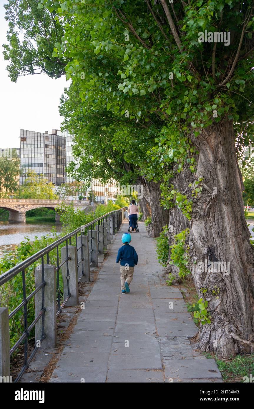 Vertical shot of a young boy walking on a small footpath next to trees ...