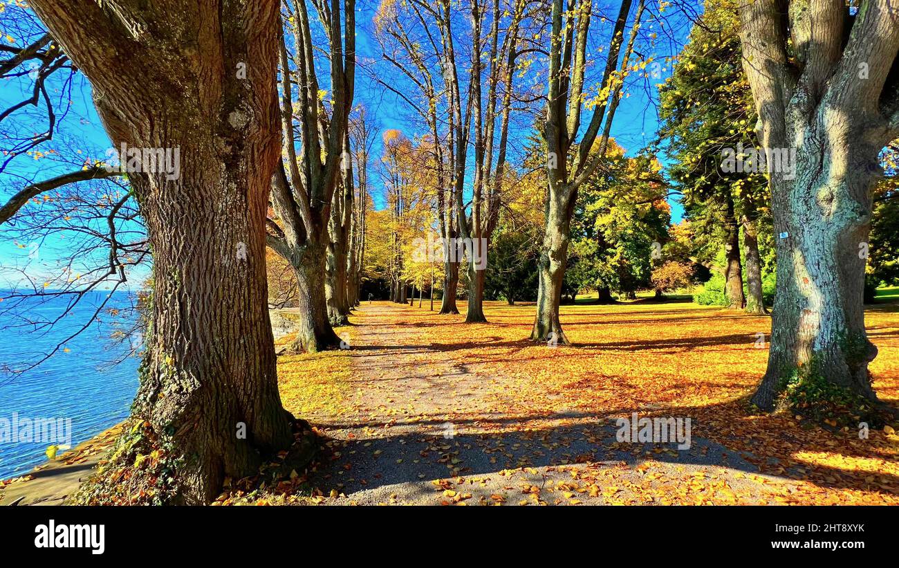 Lindenhof park hi-res stock photography and images - Alamy