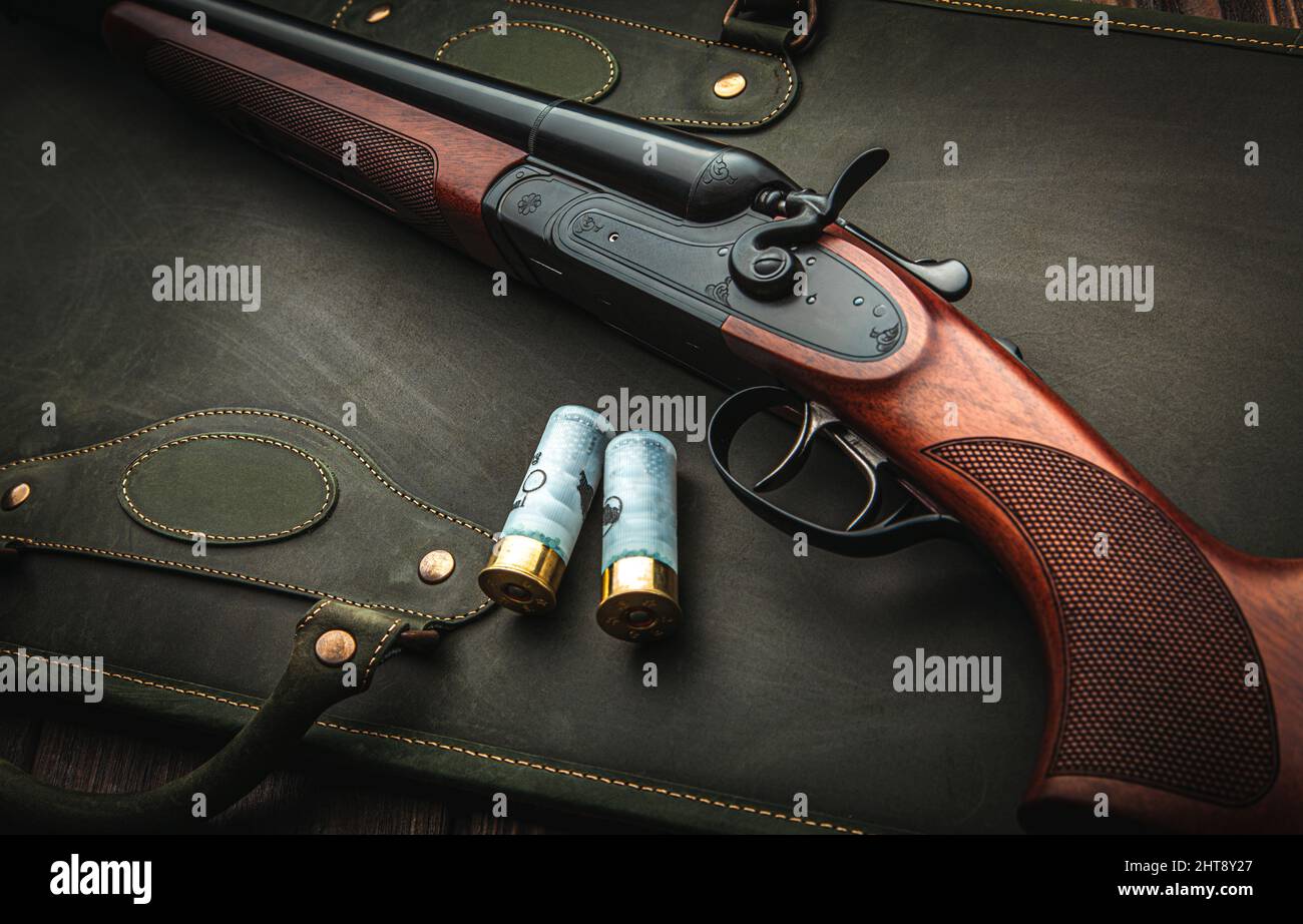 Classic trigger double-barreled hunting rifle on a green background ...