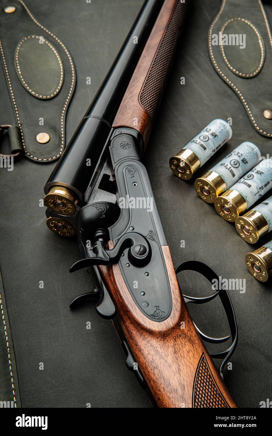 Classic trigger double-barreled hunting rifle on a green background ...