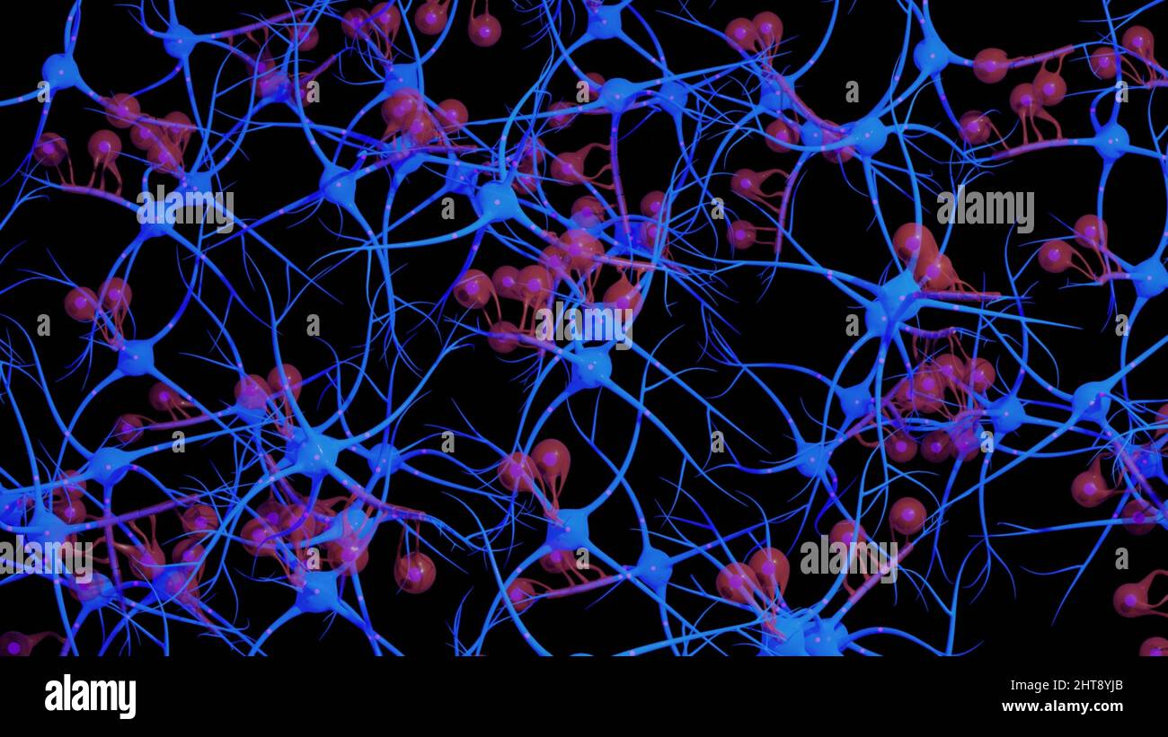 Illustration of brain neurons Stock Photo - Alamy