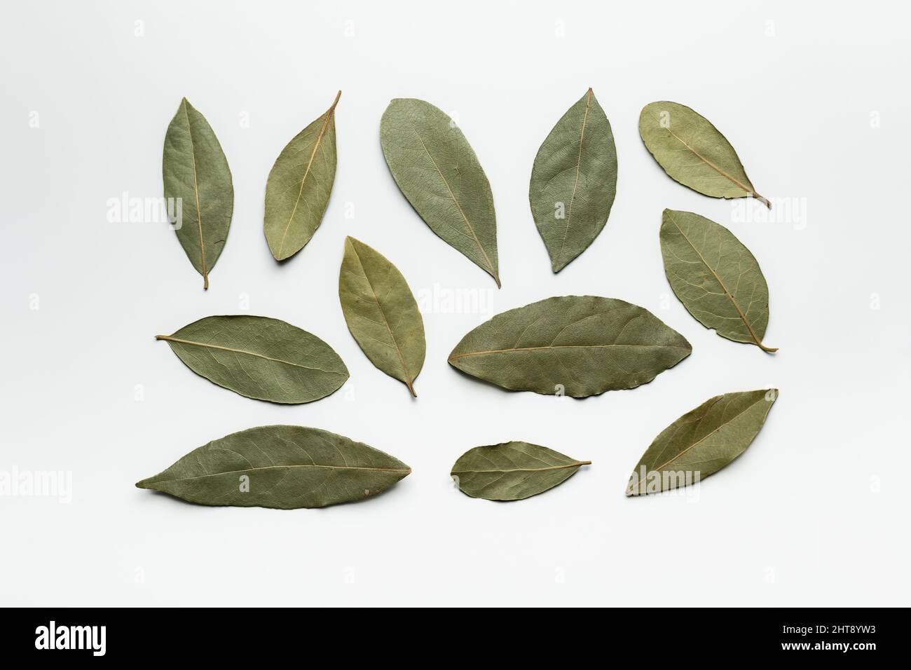 Closeup of Bay leaves isolated on a white background Stock Photo - Alamy