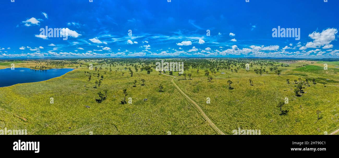 A big green field at Rangers Vally Cattle with beautiful blue sky in ...