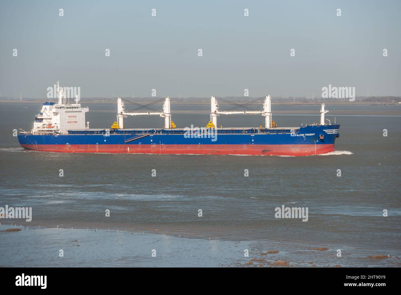 Bulk carrier Falcon Trident imo: 9717591 on its way to Antwerp Stock ...