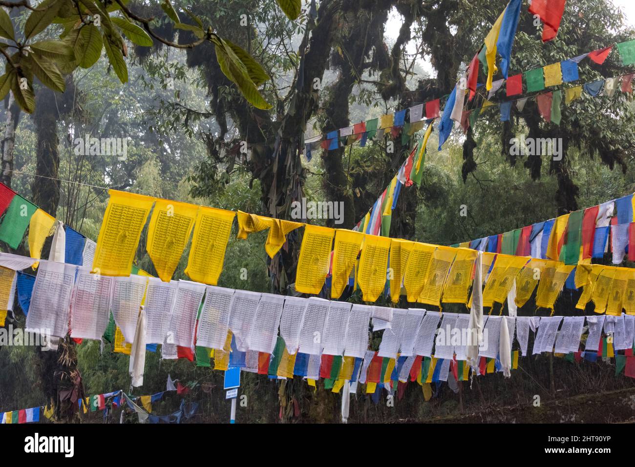 Prayer flags in the mountain, Darjeeling, West Bengal, India Stock ...