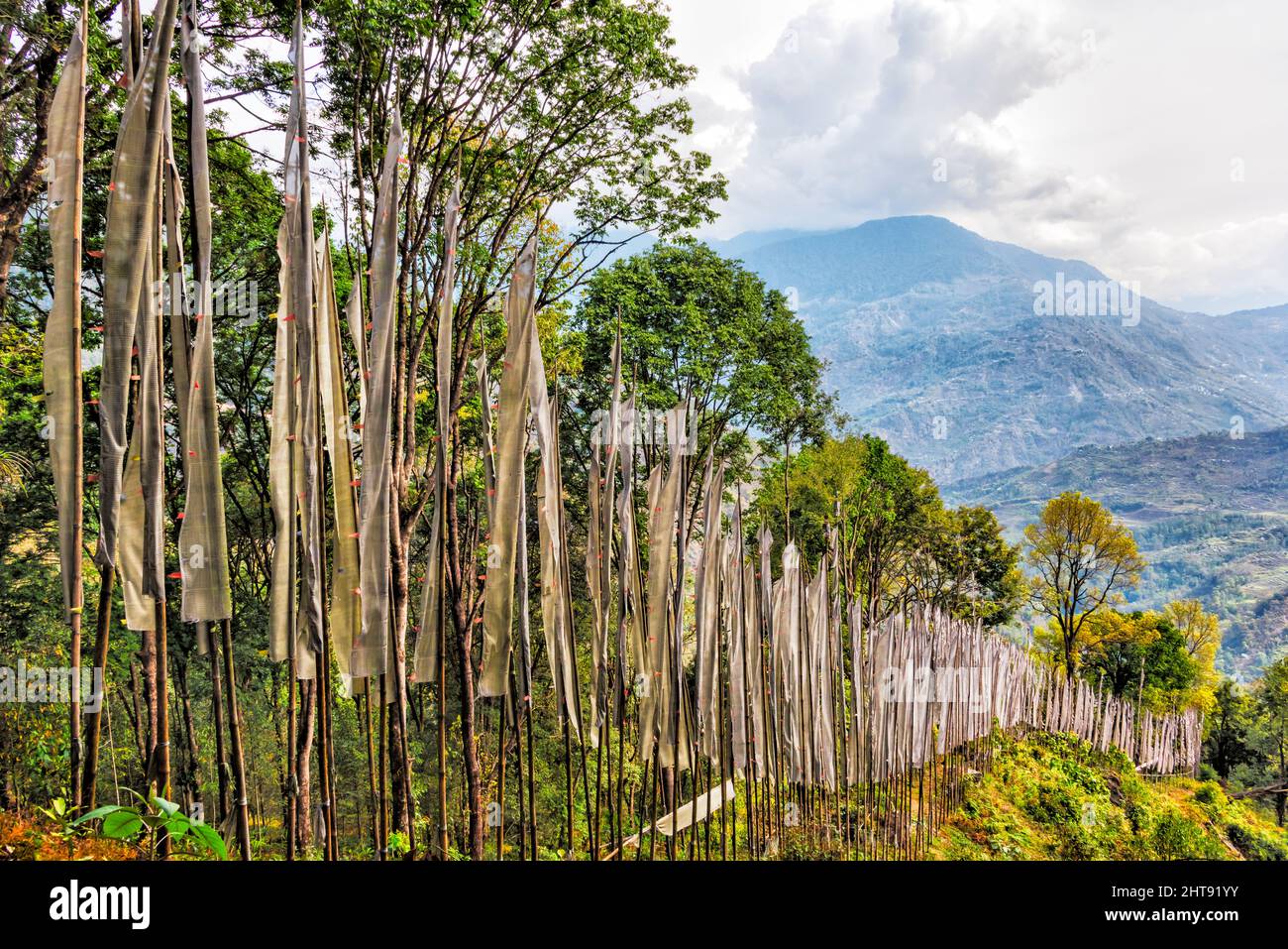 Prayer flags in the mountain, Pelling, Sikkim, India Stock Photo - Alamy