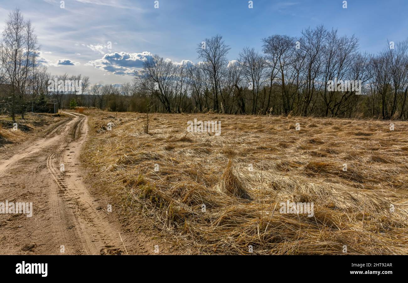 Bright sunny spring day in the countryside Stock Photo - Alamy