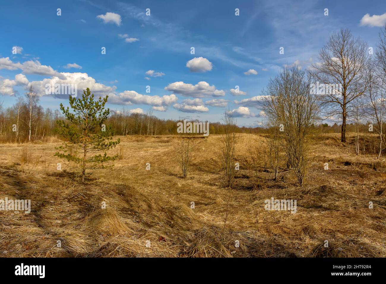 Bright sunny spring day in the countryside Stock Photo - Alamy
