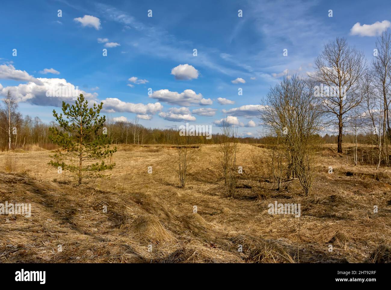 Bright sunny spring day in the countryside Stock Photo - Alamy