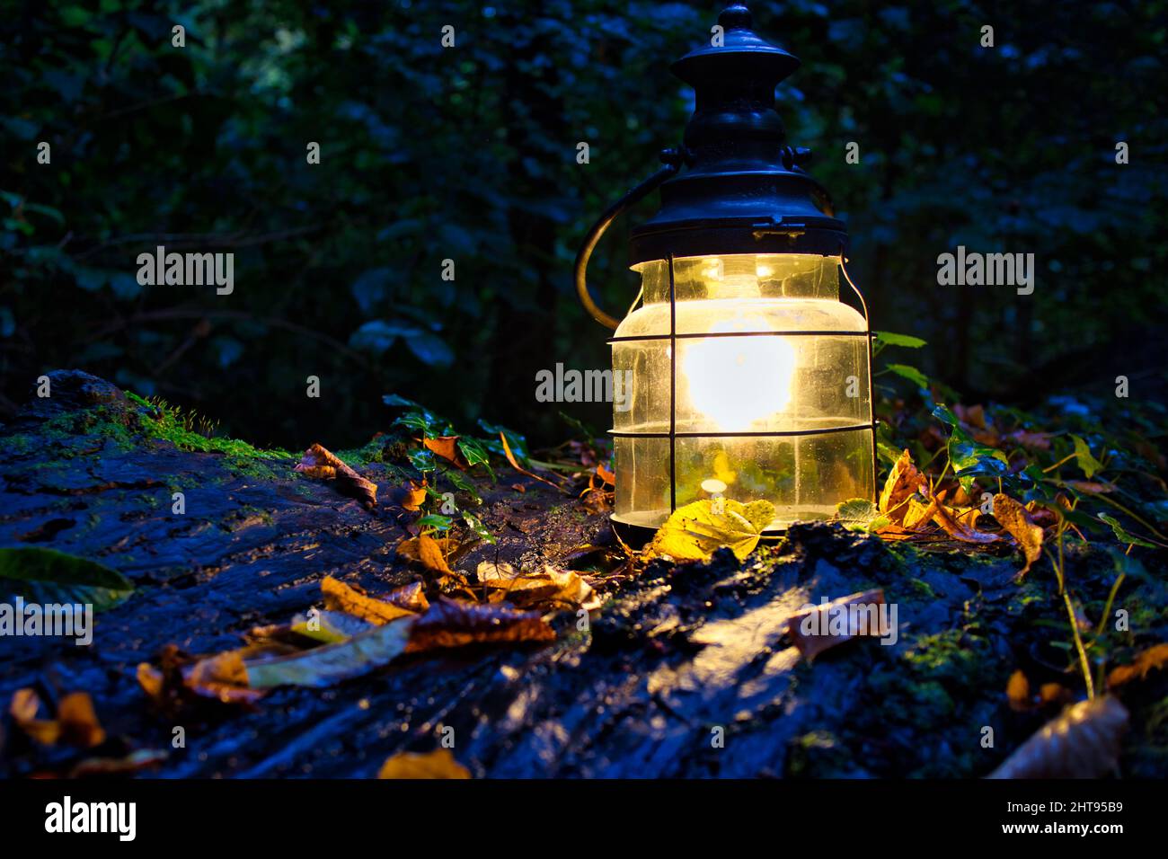 Old lantern in the forest Stock Photo - Alamy