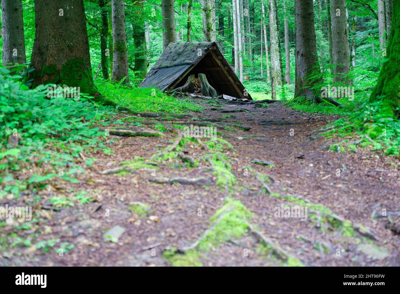 Small hut in the forest in Bavarian Alps, Germany Stock Photo - Alamy