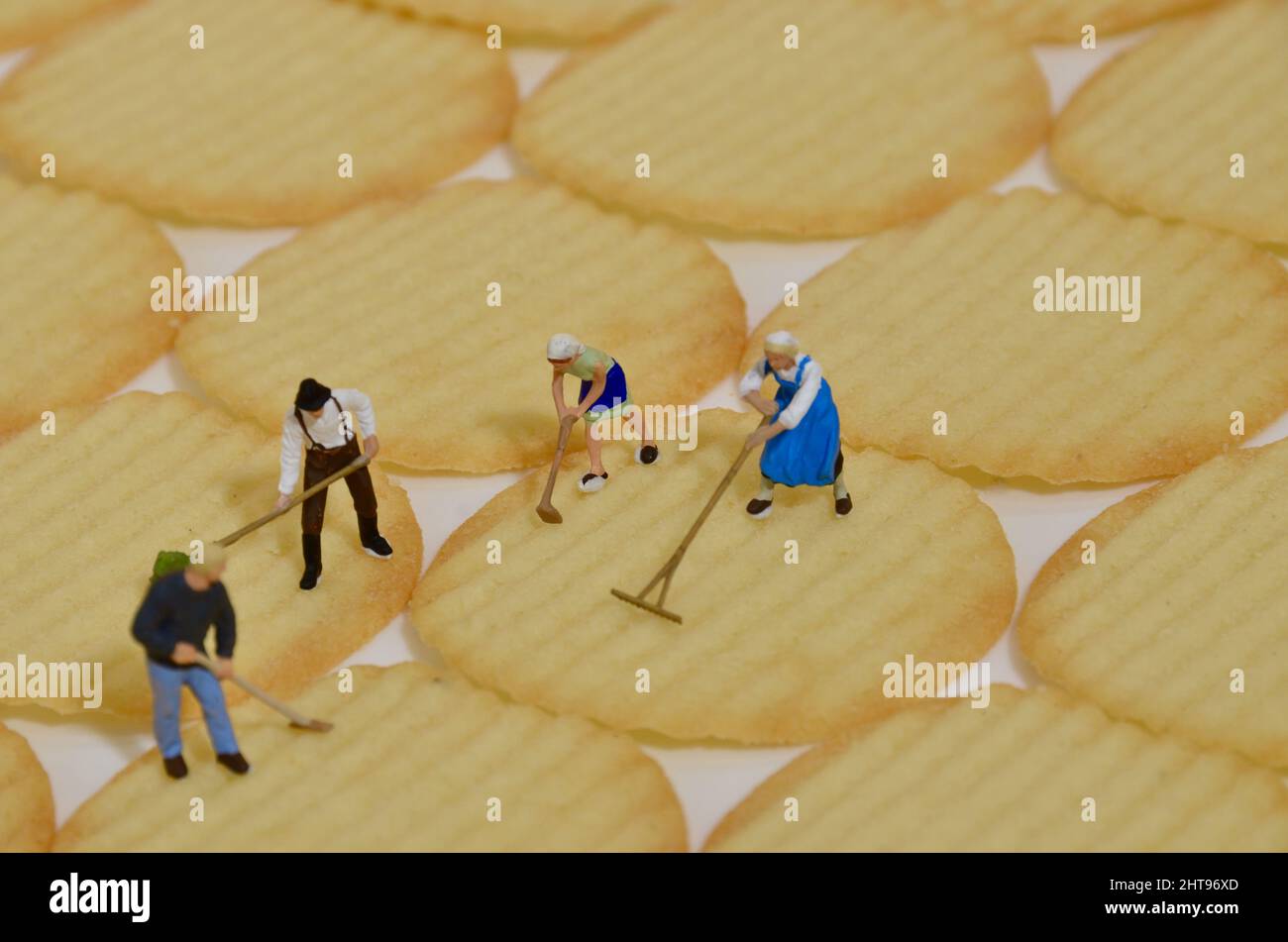 Macro photography of small figurines and objects Stock Photo - Alamy