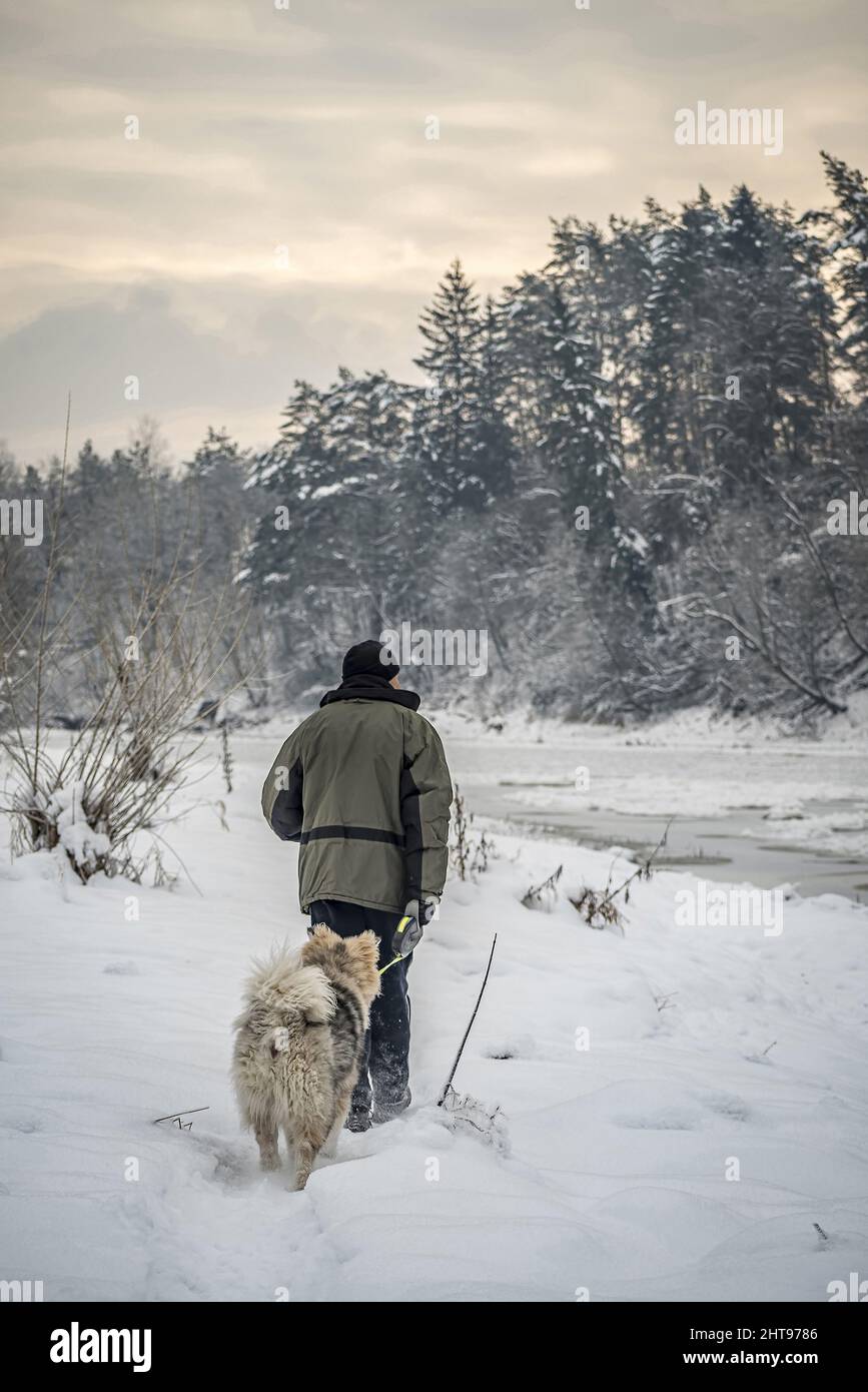 Closeup of an Old man with a dog walking on a frozen Neris riverside ...