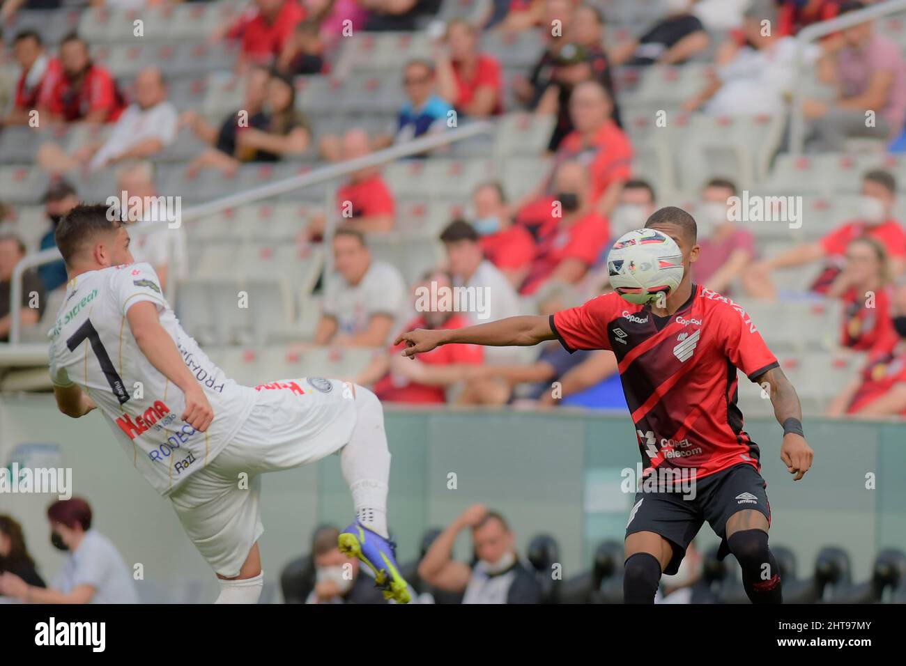 Giovanni pavani hi-res stock photography and images - Alamy