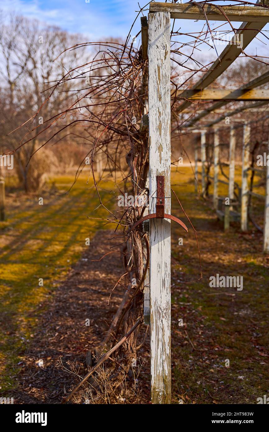 Vertical shot of an old wooden structure detail Stock Photo - Alamy