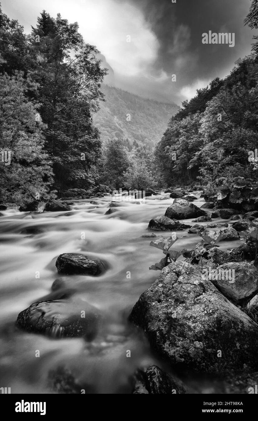 Mountain forest in smooth Black and White Stock Photos & Images - Alamy