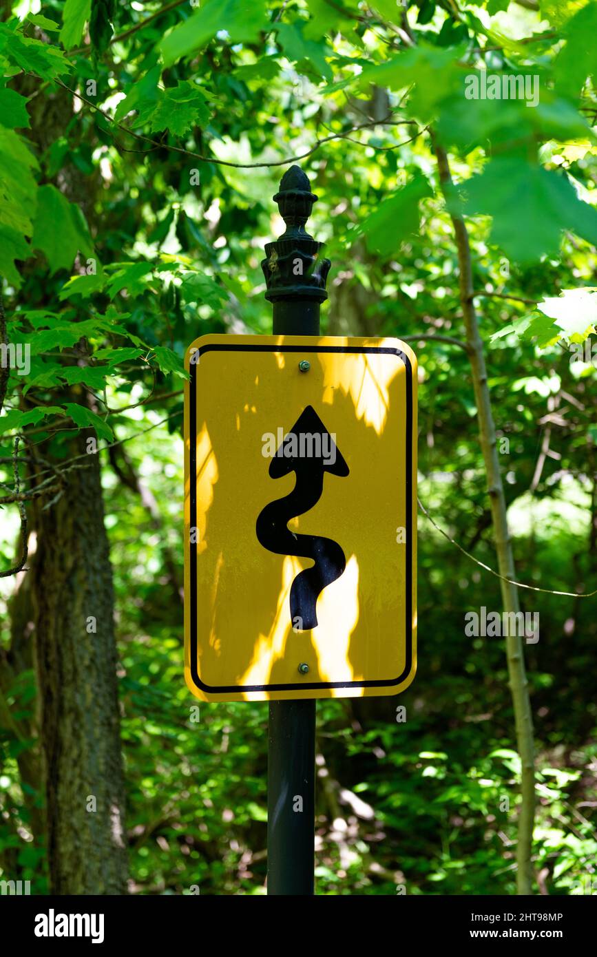 Vertical shot of curved arrow road sign in the forest Stock Photo - Alamy