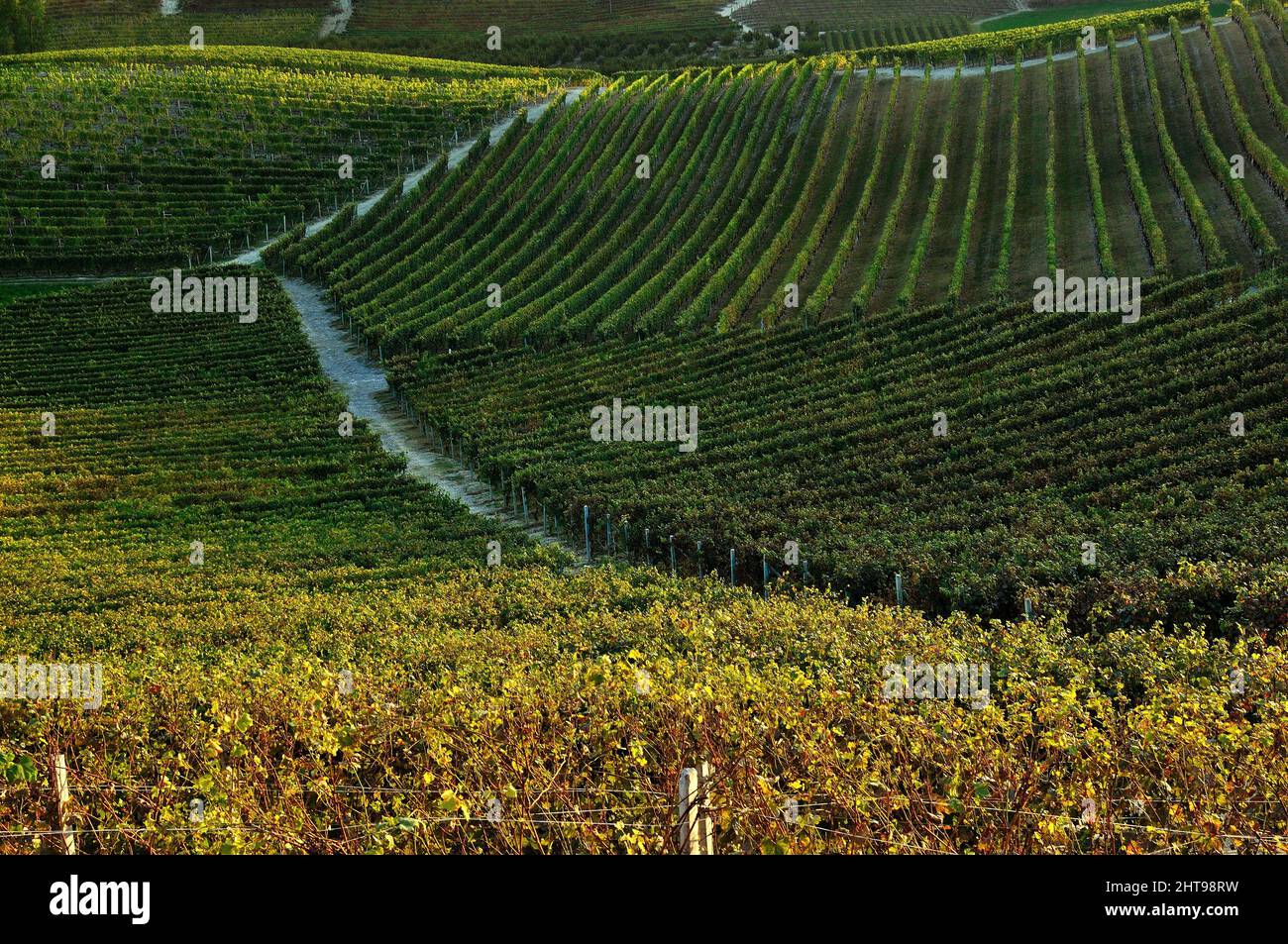 Beautiful landscape river fields backdrop hi-res stock photography and ...