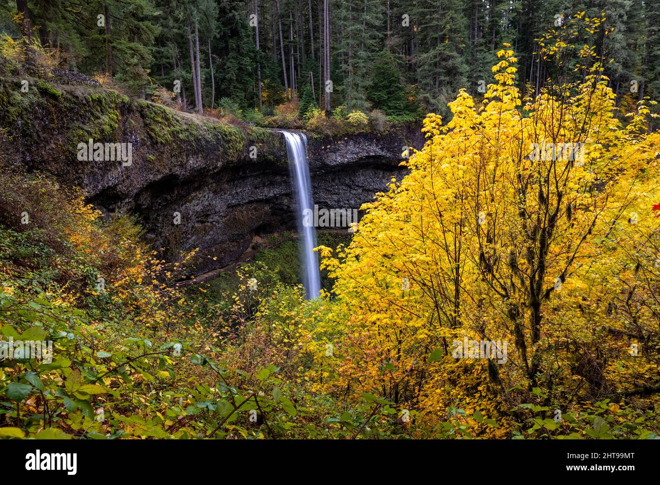 Closeup of Silver falls , USA Stock Photo - Alamy