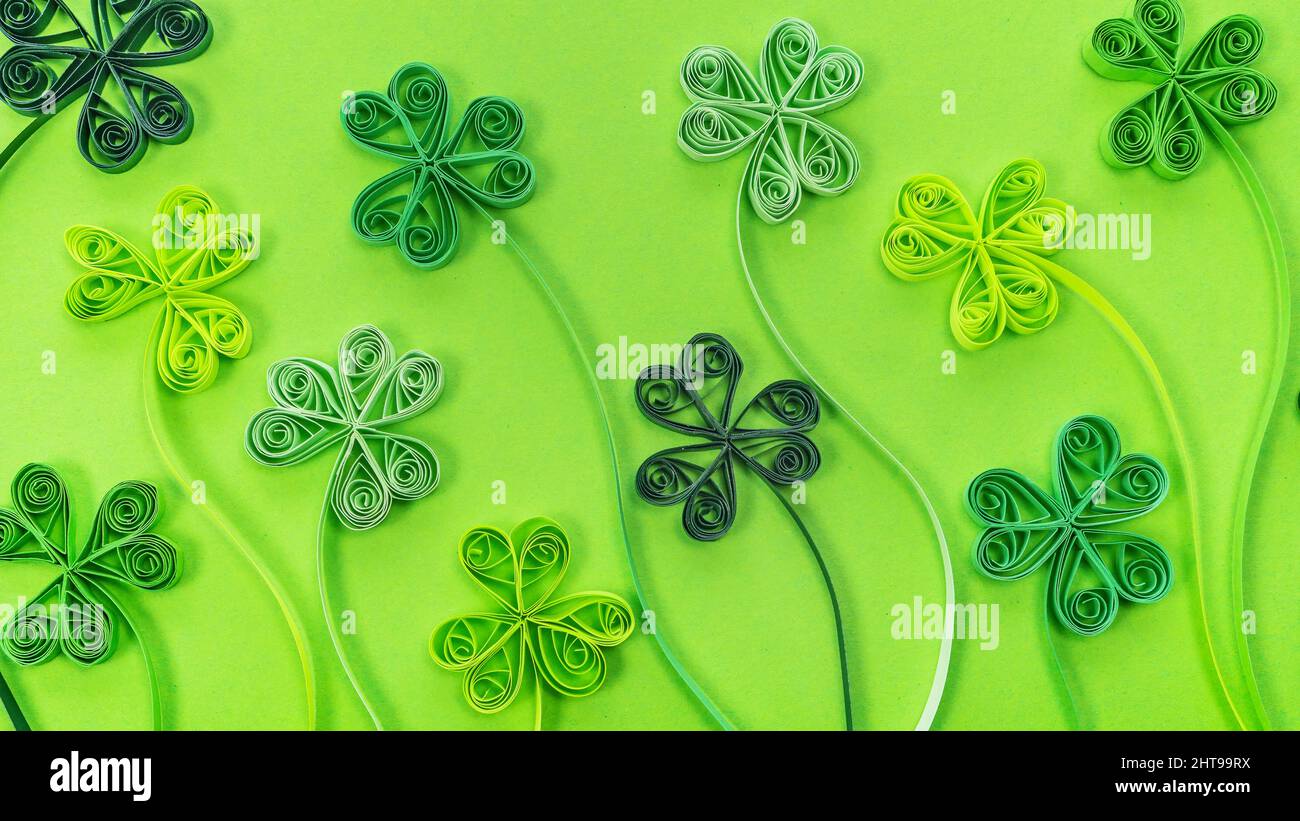 Green leaves clover and shamrock background for St. Patrick's Day. Trefoil and clover leaves in ...