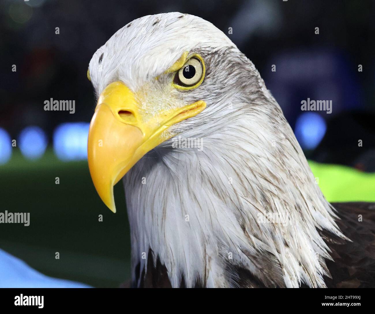 Simbolo ss hi-res stock photography and images - Alamy