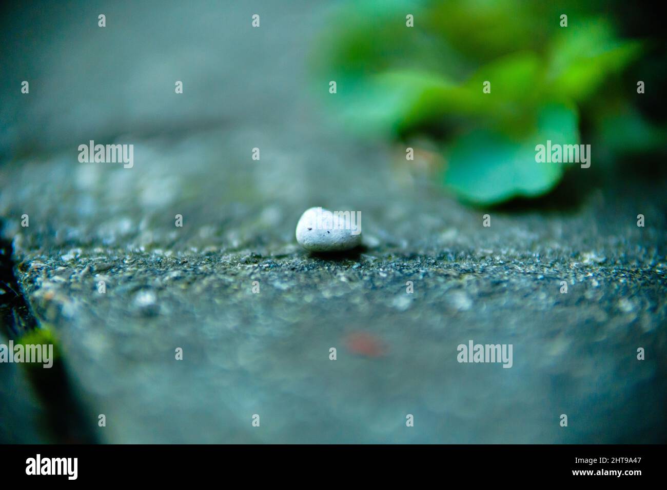 Selective shot of a small stone on the asphalt Stock Photo - Alamy