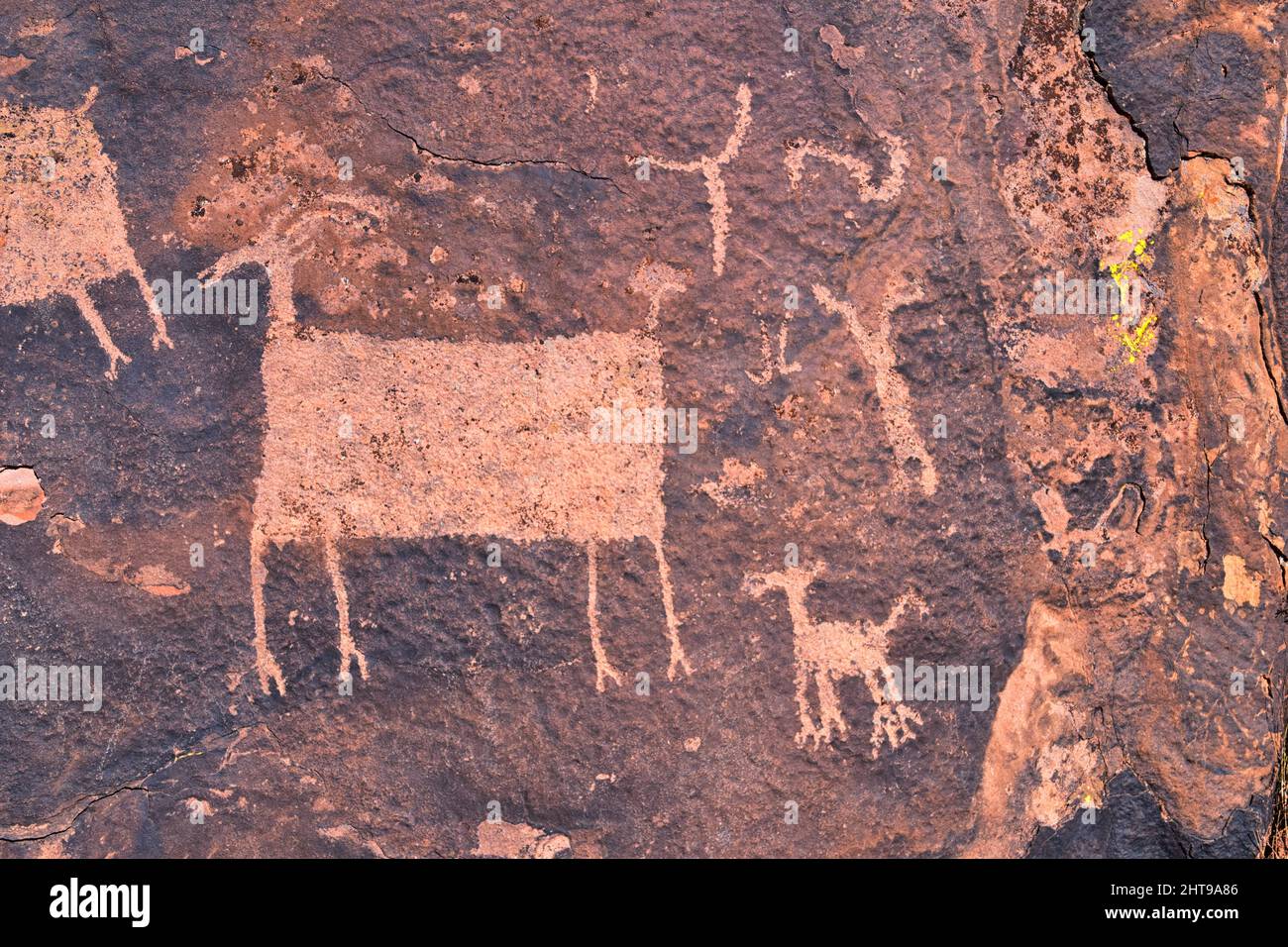Petroglyphs Rock Paintings St George Utah on Land Hill from Ancestral ...