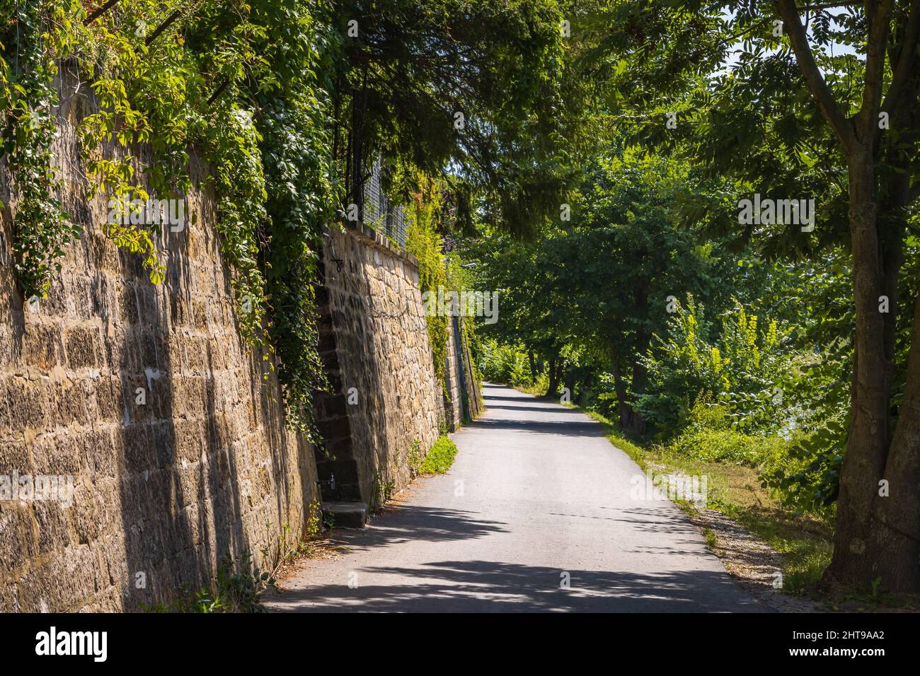 Long pathway surrounded by greens in a village Stock Photo - Alamy