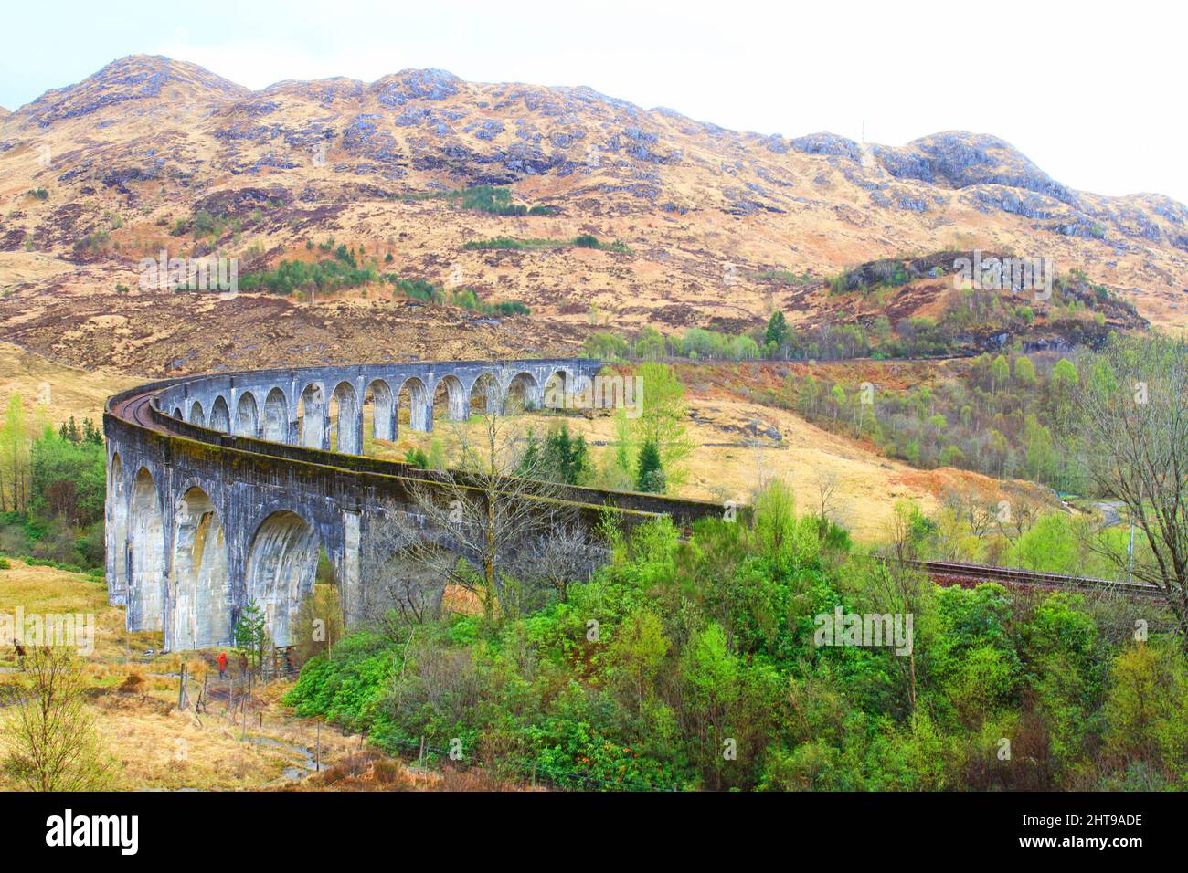 Jacobite train bridge Stock Photo - Alamy