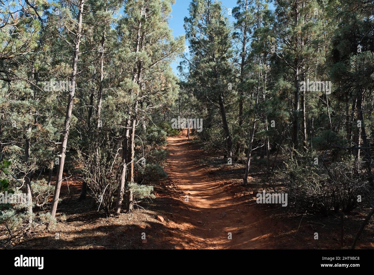 Shot of a pathway through the forest, Sedona, Arizona Stock Photo - Alamy